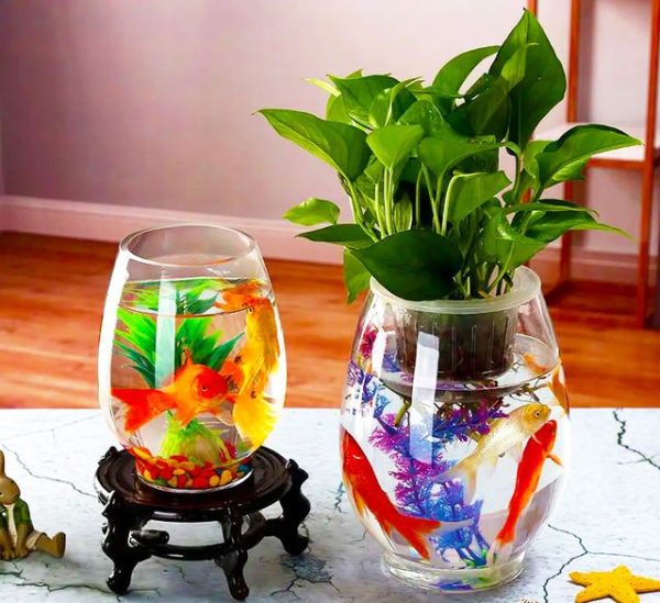 Top 20+ mẫu bể cá mini để bàn làm việc đẹp, độc đáo