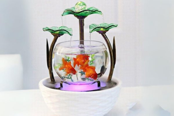 Top 20+ mẫu bể cá mini để bàn làm việc đẹp, độc đáo